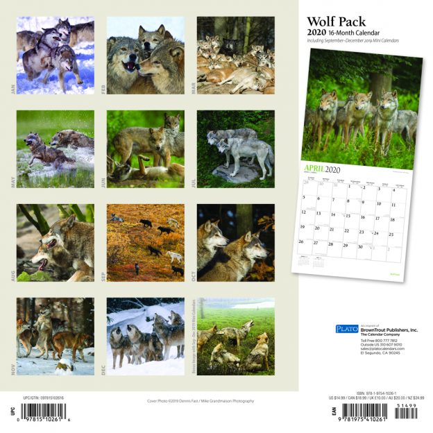 Wolf Pack 2020 Square Wall Calendar by Plato | Plato Calendars