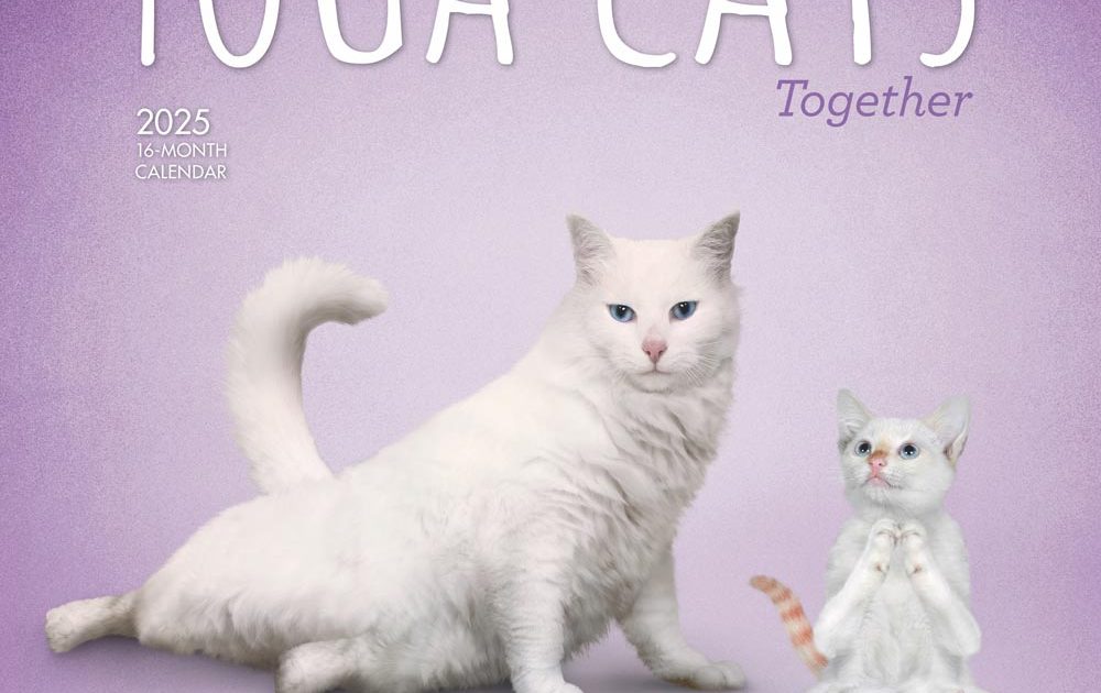 Yoga Cats Together OFFICIAL | 2025 Square Wall Calendar | Plato | Plato ...